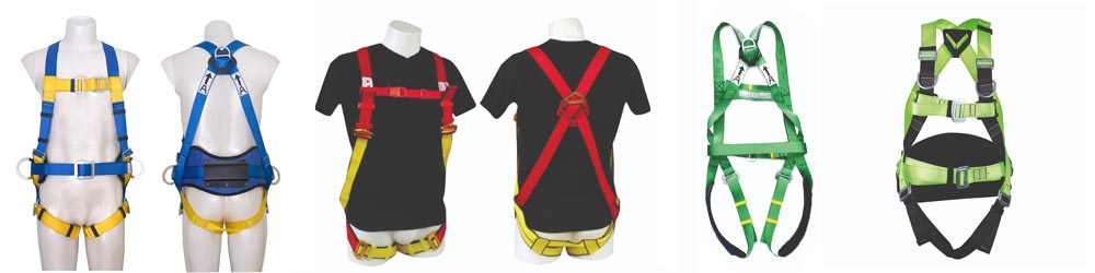 PPE Logistics and Transportation - Lyreco Thailand