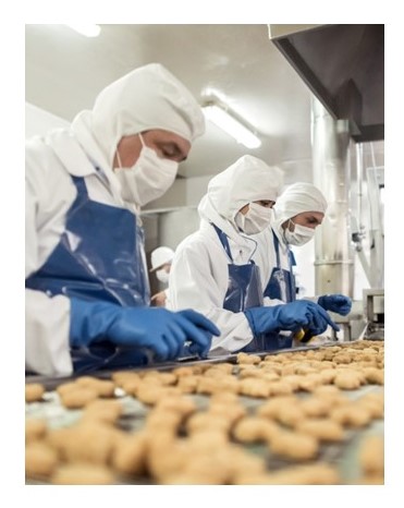 PPE for Food Industry - Lyreco Thailand